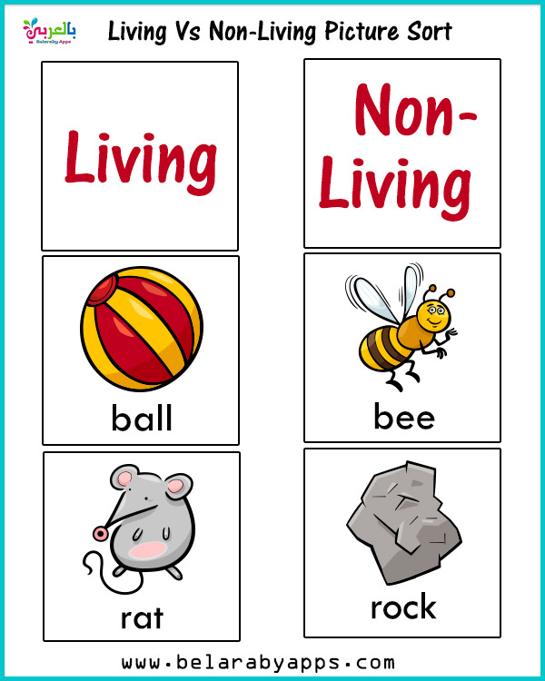 Living Vs Nonliving Activities For Kindergarten BelarabyApps