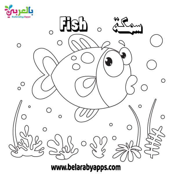 صور تلوين الكائنات البحرية وحدة الماء رسومات اسماك للتلوين بالعربي