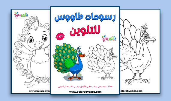 اجمل رسومات طاووس للتلوين للأطفال ⋆ بالعربي نتعلم